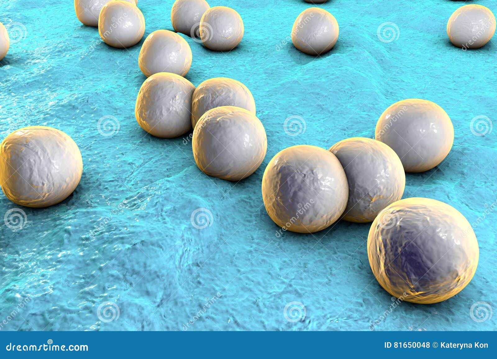 Estafilococos Na Superfície Da Pele Ilustração Stock - Ilustração de ...