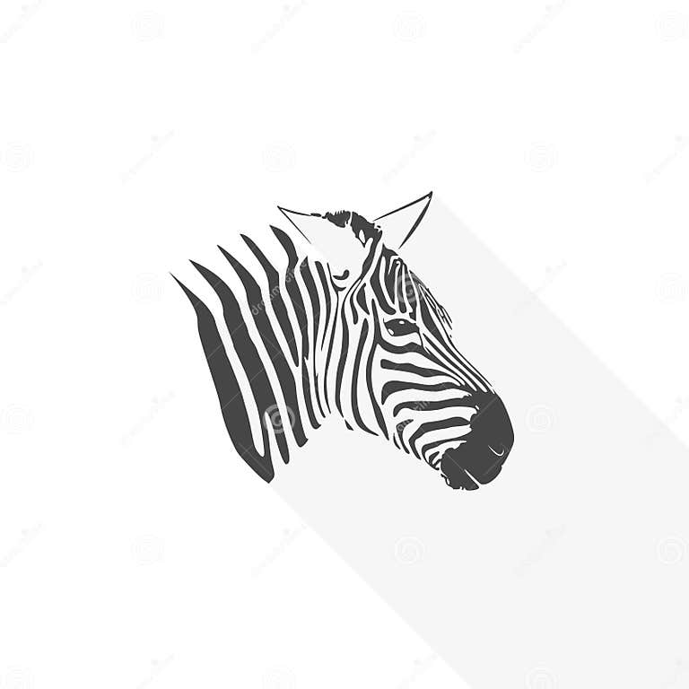 Estampado De Zebra - Ejemplo Ilustración del Vector - Ilustración de ...