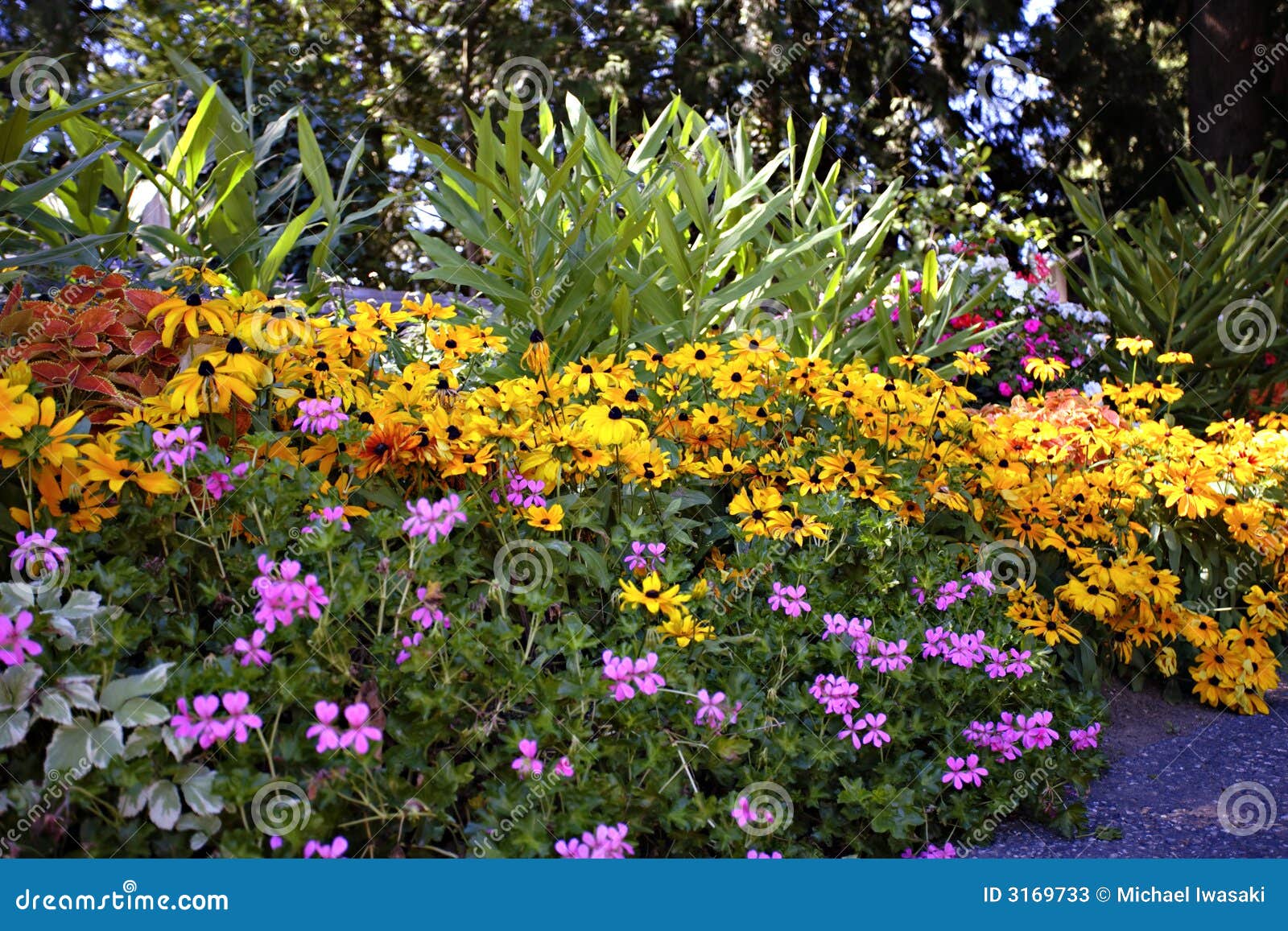 Estate garden stock image. Image of petals, scenic, plant - 3169733
