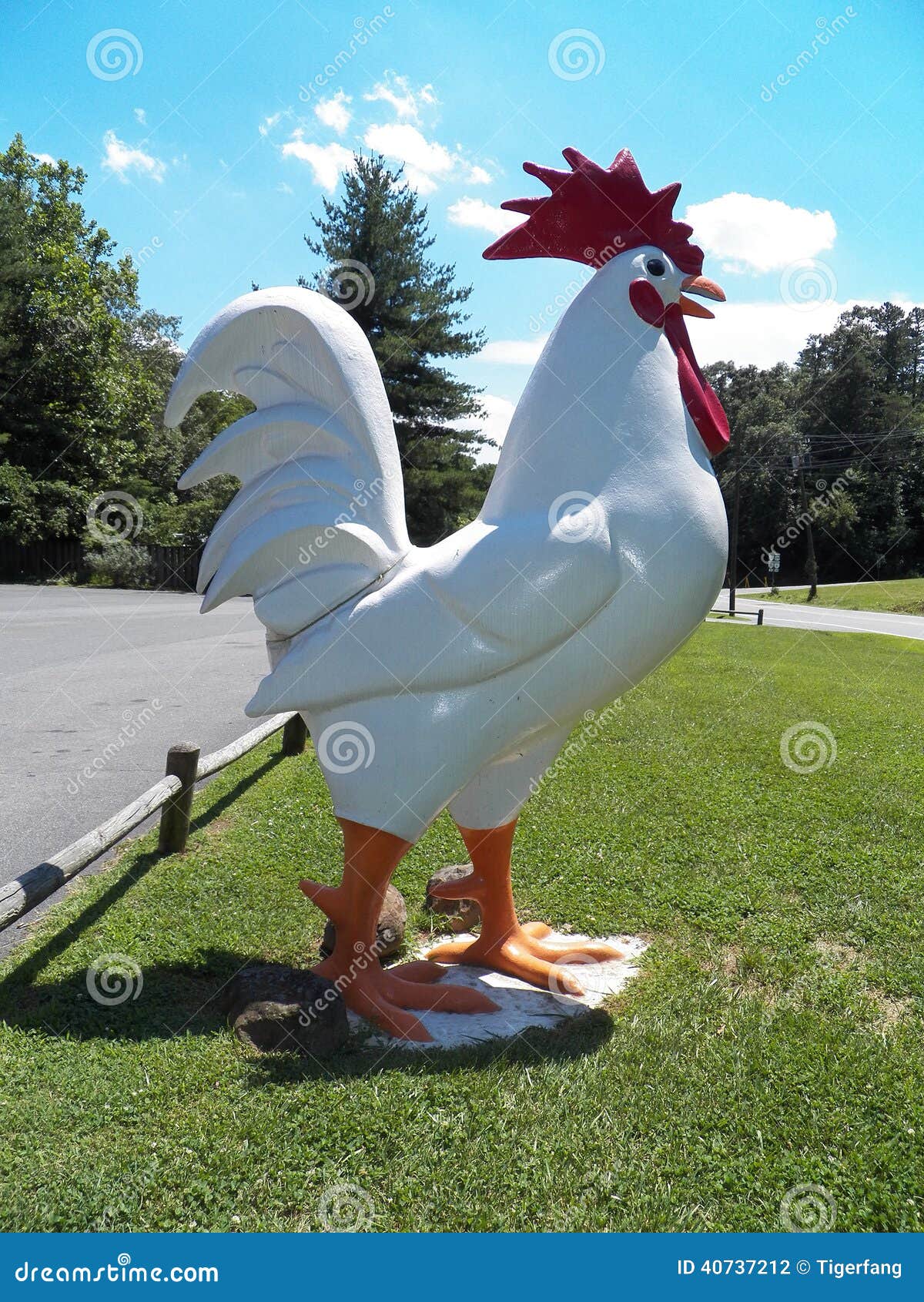 Mascota Del Gallo Fotos De Stock - Descarga 66 Fotos Libres de Derechos