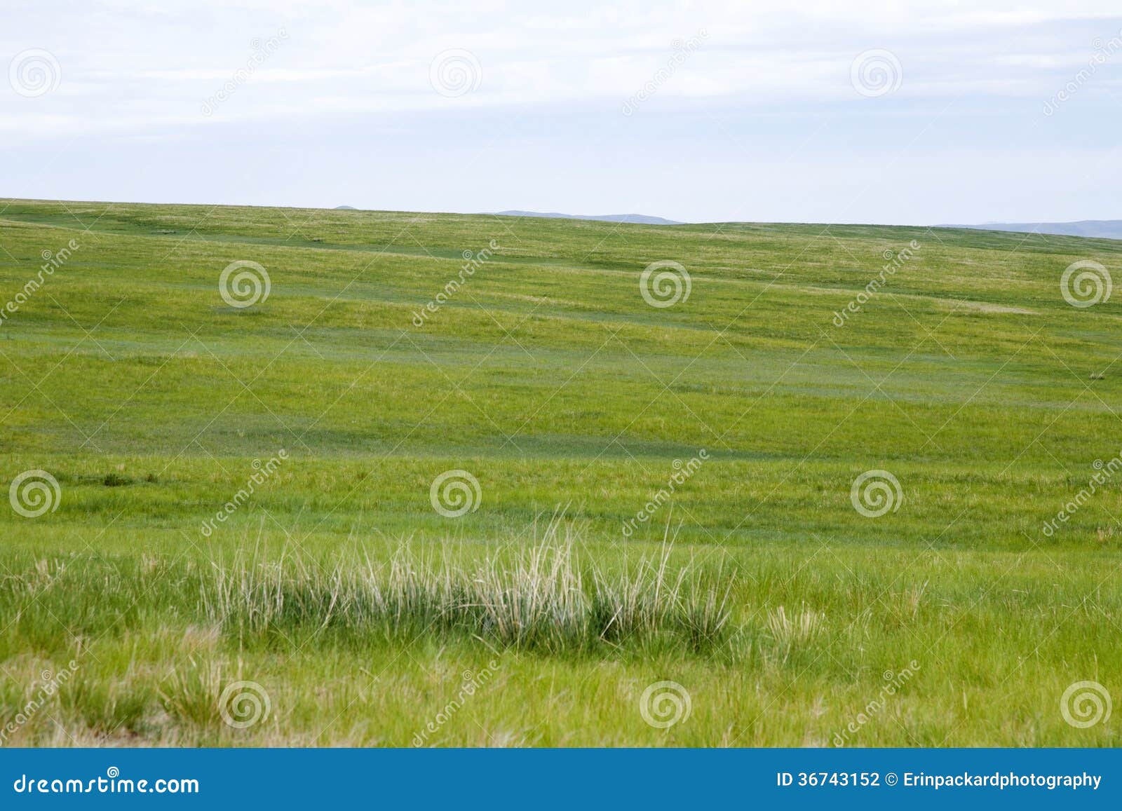 Estepas mongoles foto de archivo. Imagen de estepas, hierba - 36743152