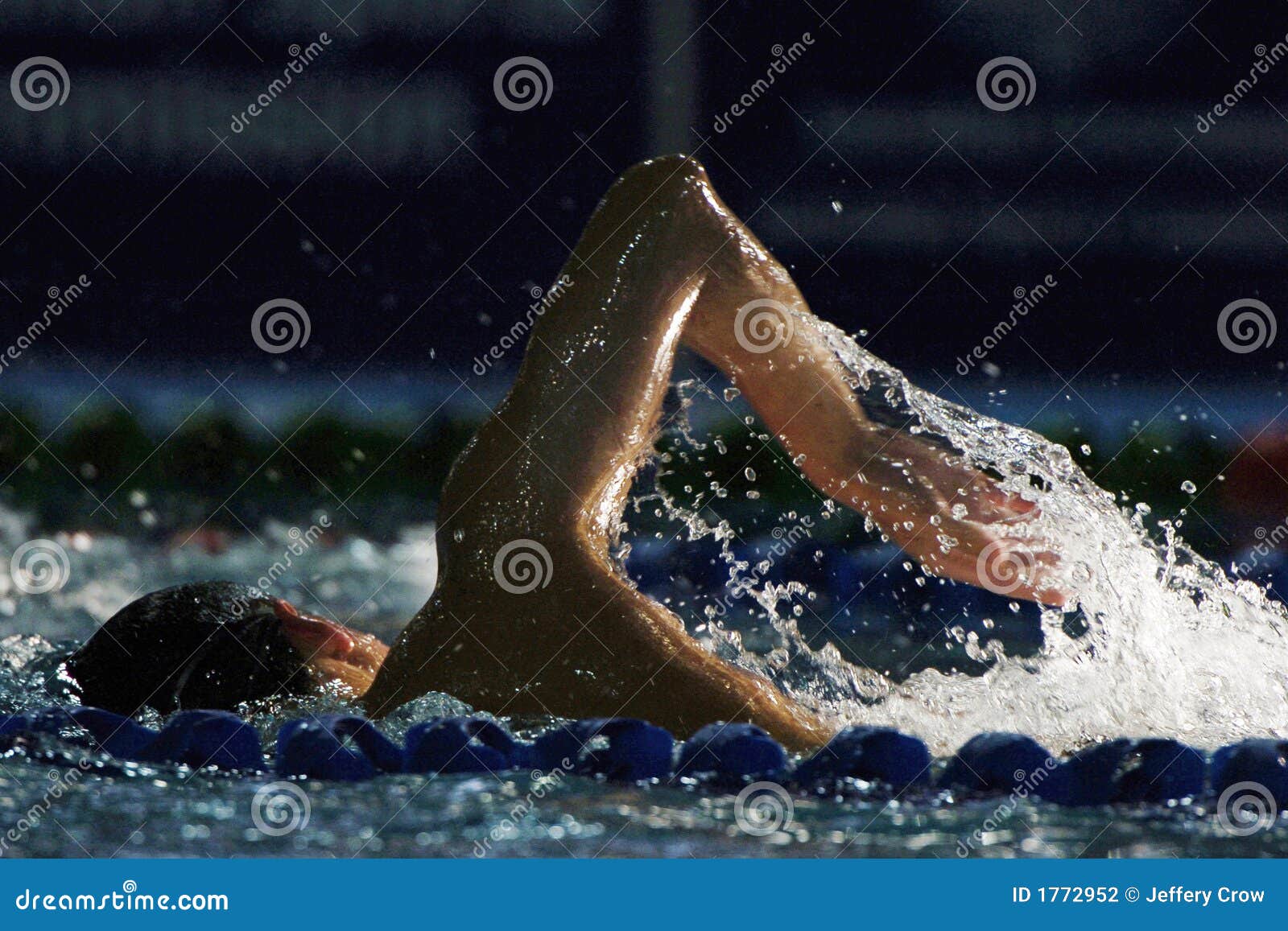 Estilo libre 001 foto de archivo. Imagen de regazo, piscina - 1772952