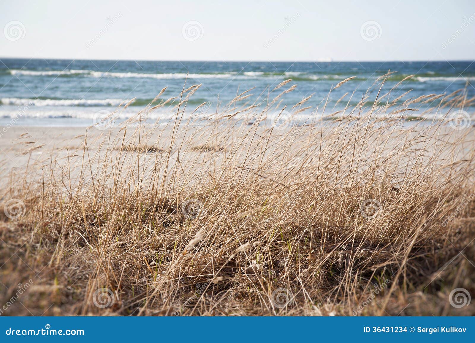 Estonia stock photo. Image of baltica, landscape, estonia - 36431234