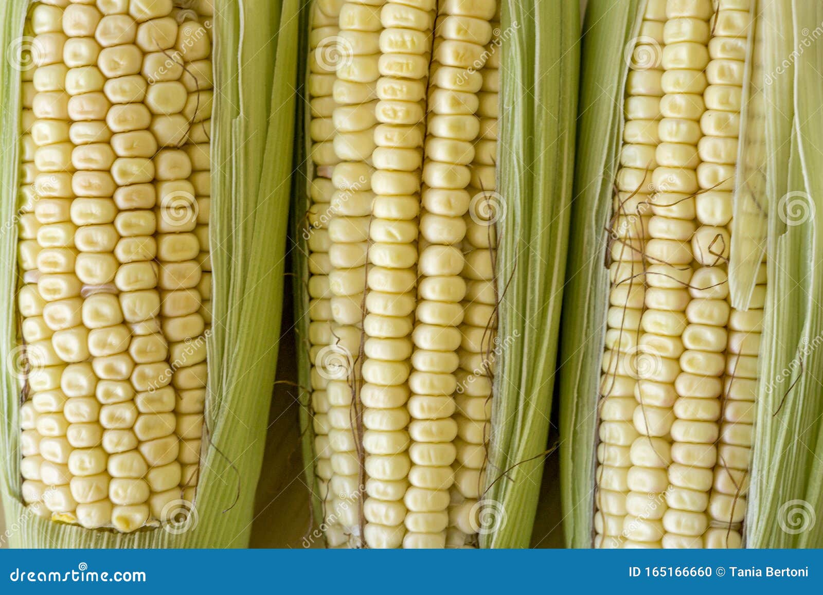 Estopa De Milho Cru Com Palha Sobre Madeira Foto de Stock - Imagem de ...