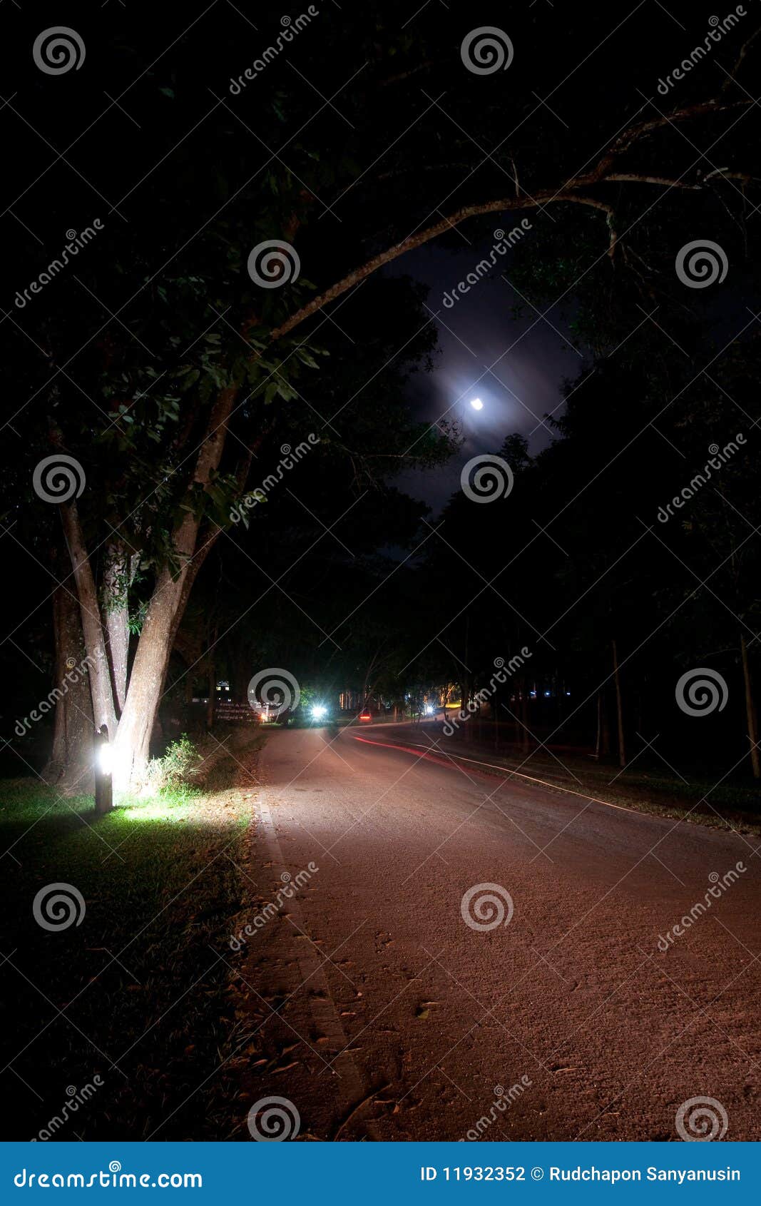 Estrada moonlit escura foto de stock. Imagem de parque - 11932352