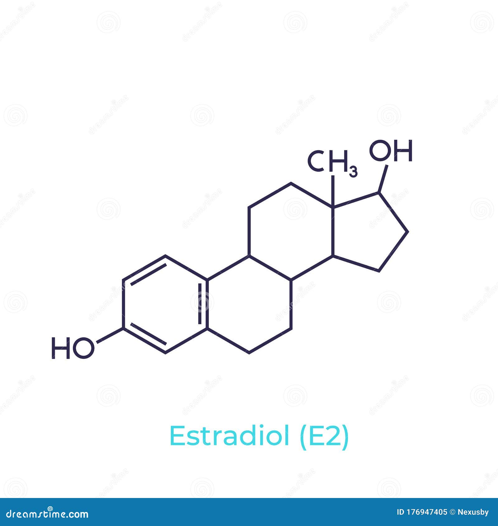 Estradiol Molecule on White, Vector Stock Illustration - Illustration ...