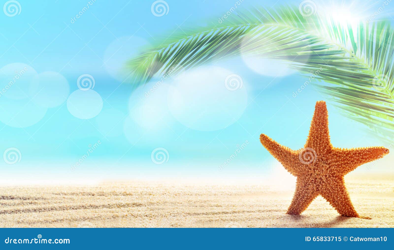 Estrellas De Mar En Arena En La Playa Imagen de archivo - Imagen de ...