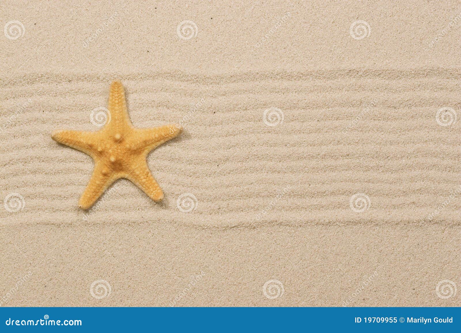 Estrellas De Mar En La Arena Imagen de archivo - Imagen de playa ...