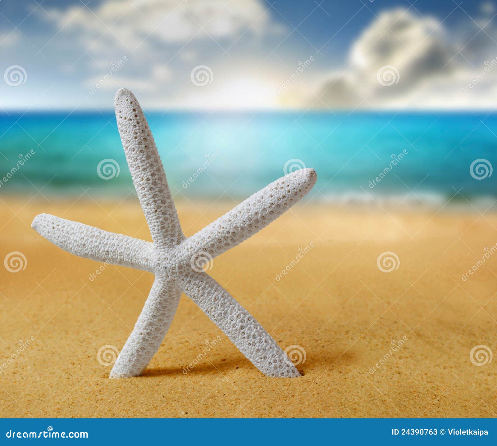 Estrellas De Mar En La Arena Imagen de archivo - Imagen de costa ...