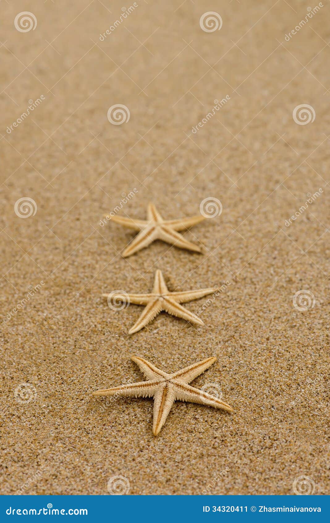 Estrellas De Mar En La Arena Imagen de archivo - Imagen de copia ...