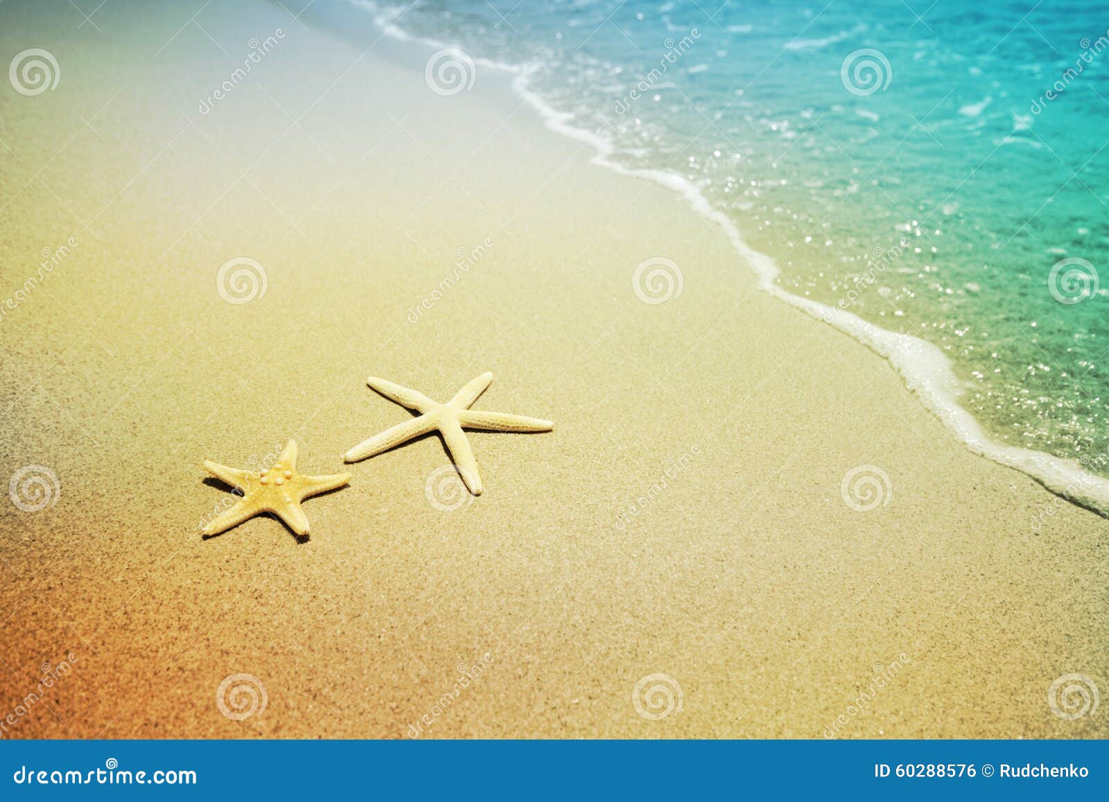 Estrellas De Mar En La Arena De La Playa Foto de archivo - Imagen de ...