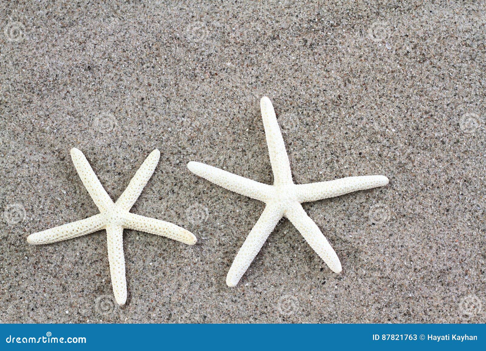 Estrellas De Mar En La Arena De La Playa Imagen de archivo - Imagen de ...