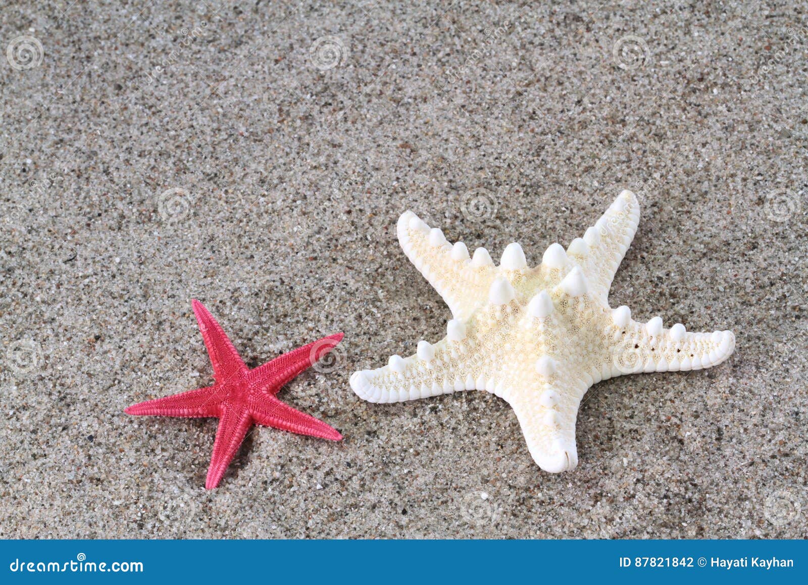Estrellas De Mar En La Arena De La Playa Foto de archivo - Imagen de ...