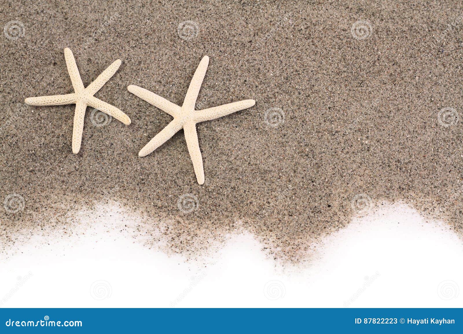 Estrellas De Mar En La Arena De La Playa Imagen de archivo - Imagen de ...