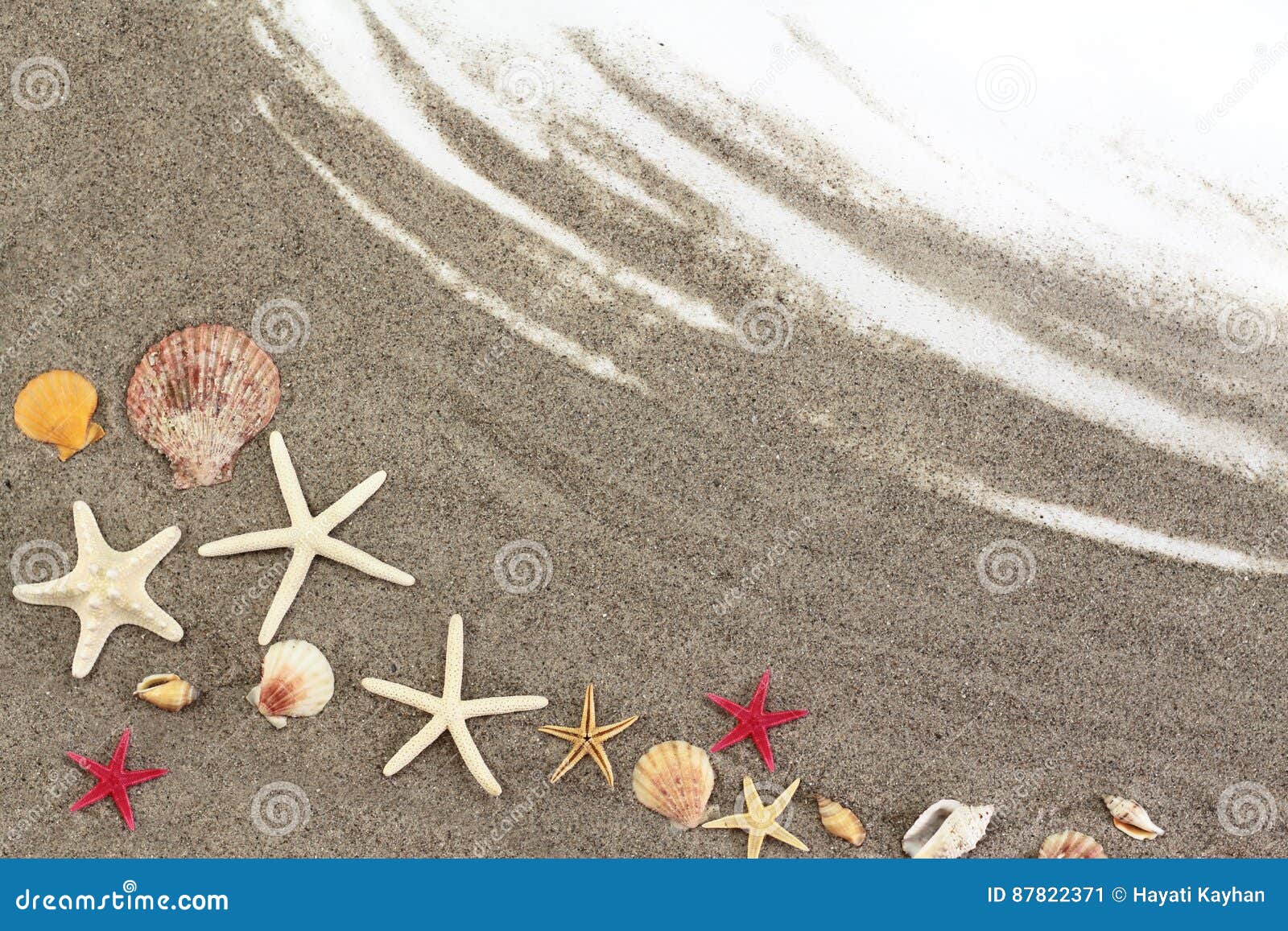 Estrellas De Mar En La Arena De La Playa Imagen de archivo - Imagen de ...