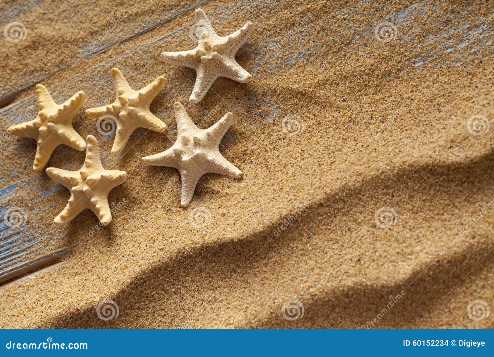 Estrellas De Mar En La Arena Y Tablones Foto de archivo - Imagen de ...
