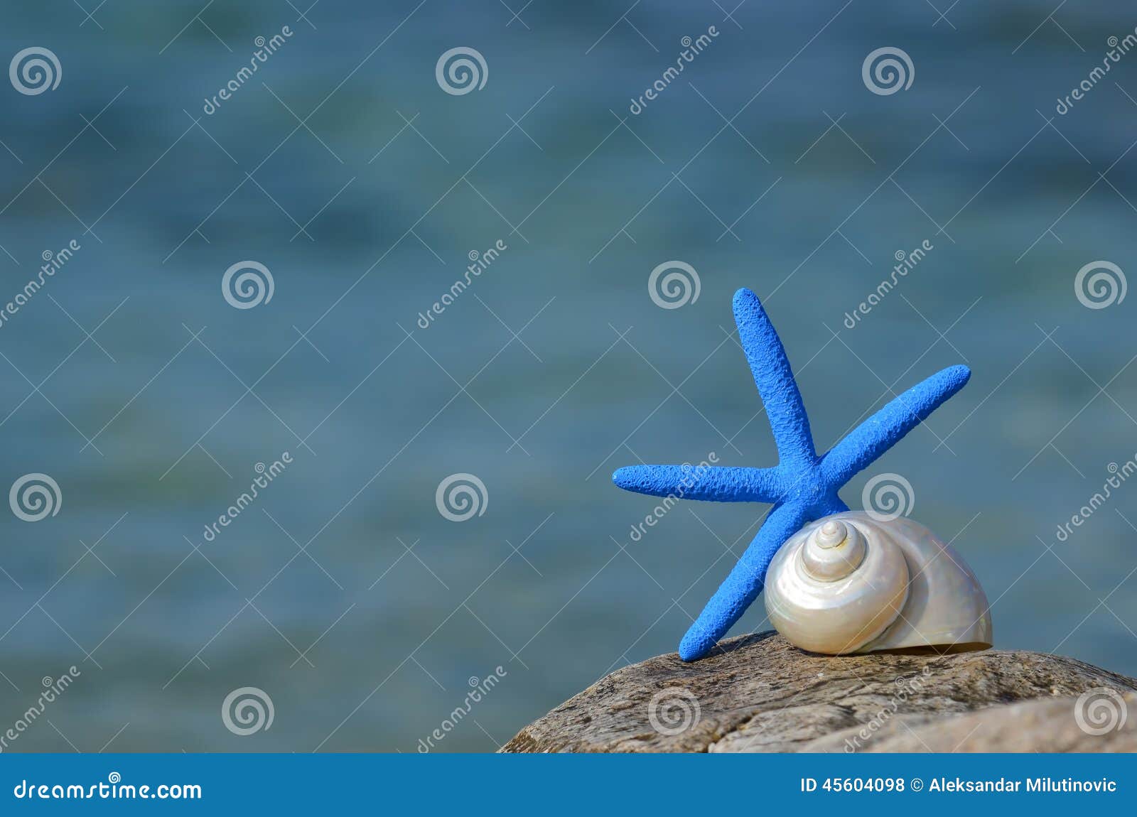 Estrellas De Mar Y Caracol Azules Foto de archivo - Imagen de exterior ...