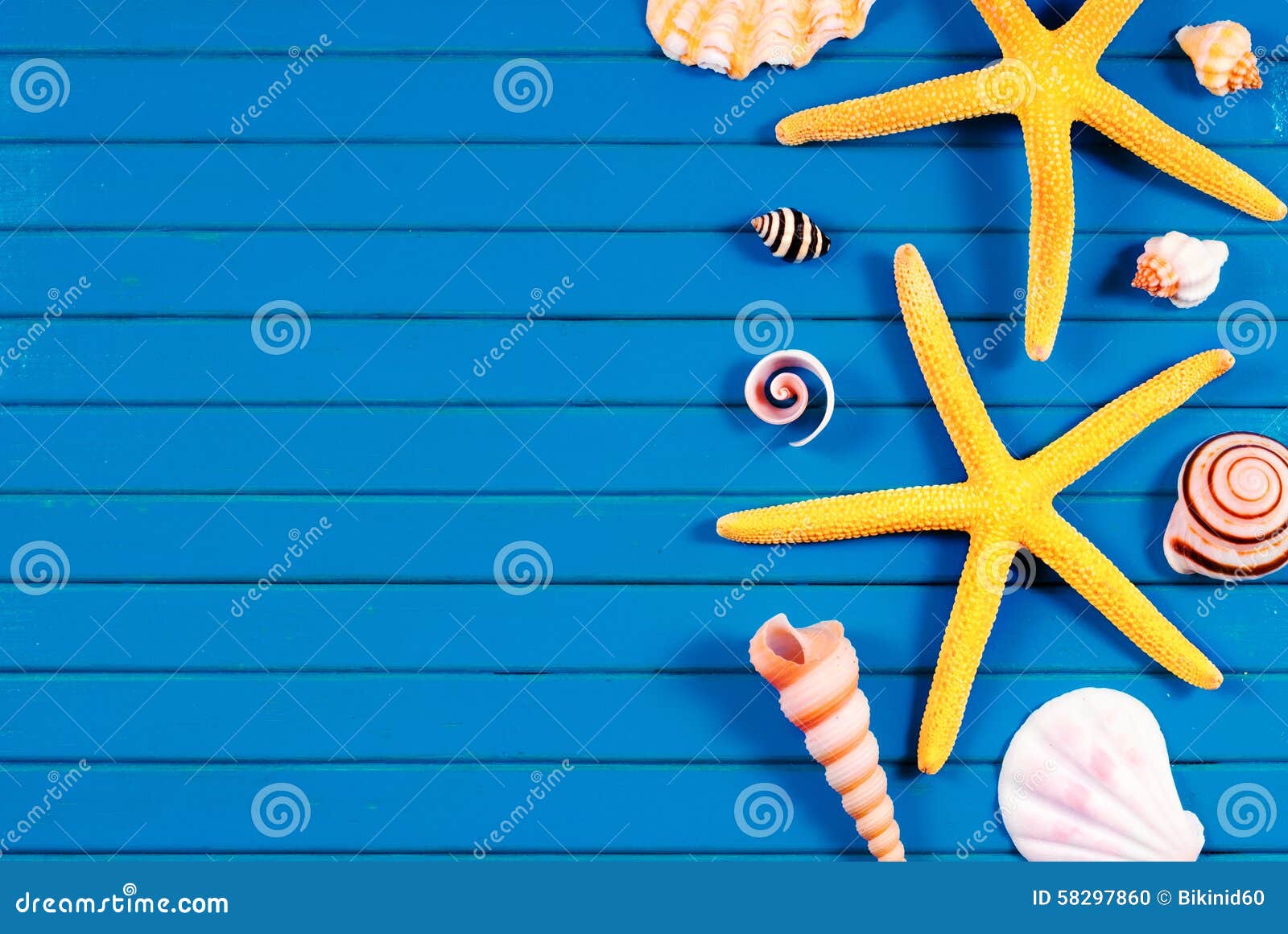 Estrellas De Mar Y Cosas Marinas Foto de archivo - Imagen de costa ...