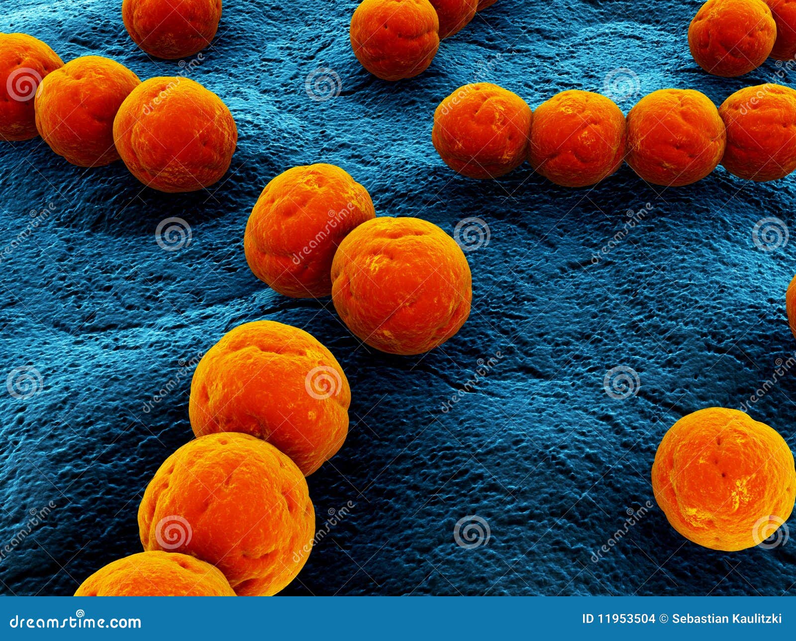 Estreptococo stock de ilustración. Ilustración de coco - 11953504