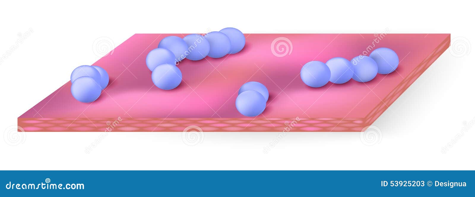 Estreptococo ilustración del vector. Ilustración de bacterias - 53925203