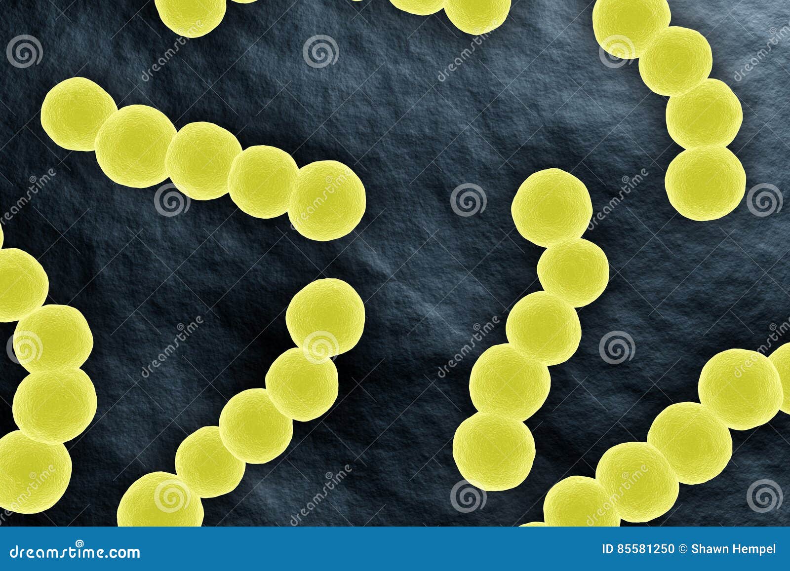 Estreptococo Ejemplo Microscópico De La Opinión 3D De La Bacteria Stock de ilustración ...