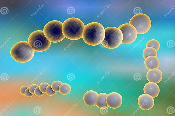 Estreptococos Ejemplo De Las Bacterias Stock de ilustración ...