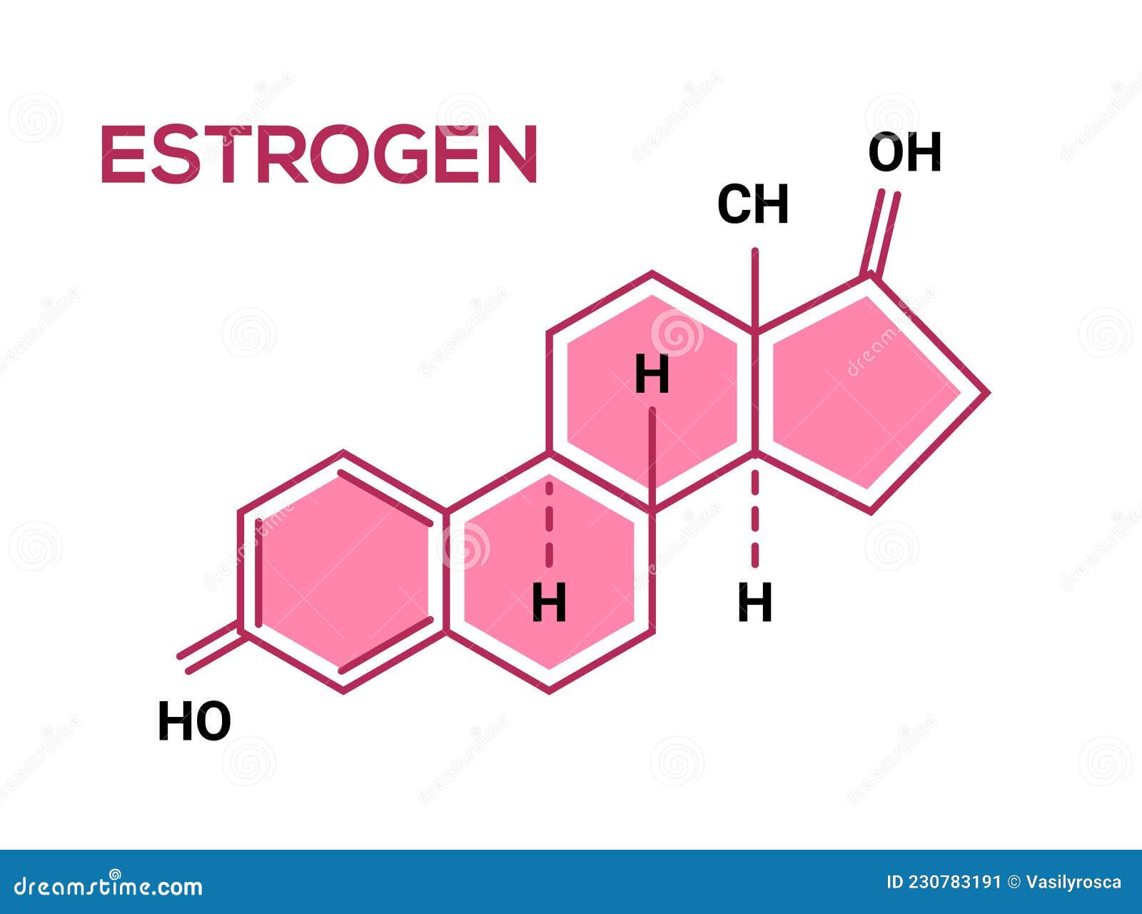 Estrogen Hormone Science Symbol Oestrogen Female Sexual Hormone