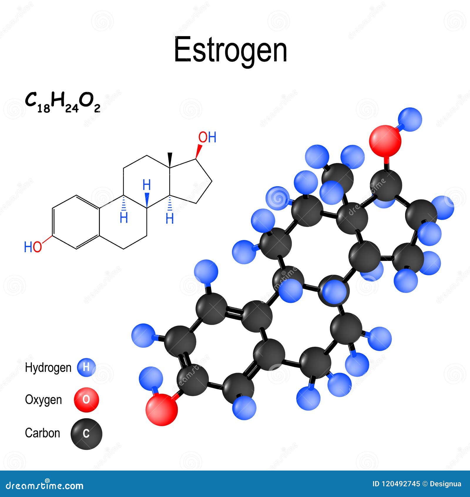 Estrogen Oestrogen Estrone Estradiol Estriol Chemical Form Stock