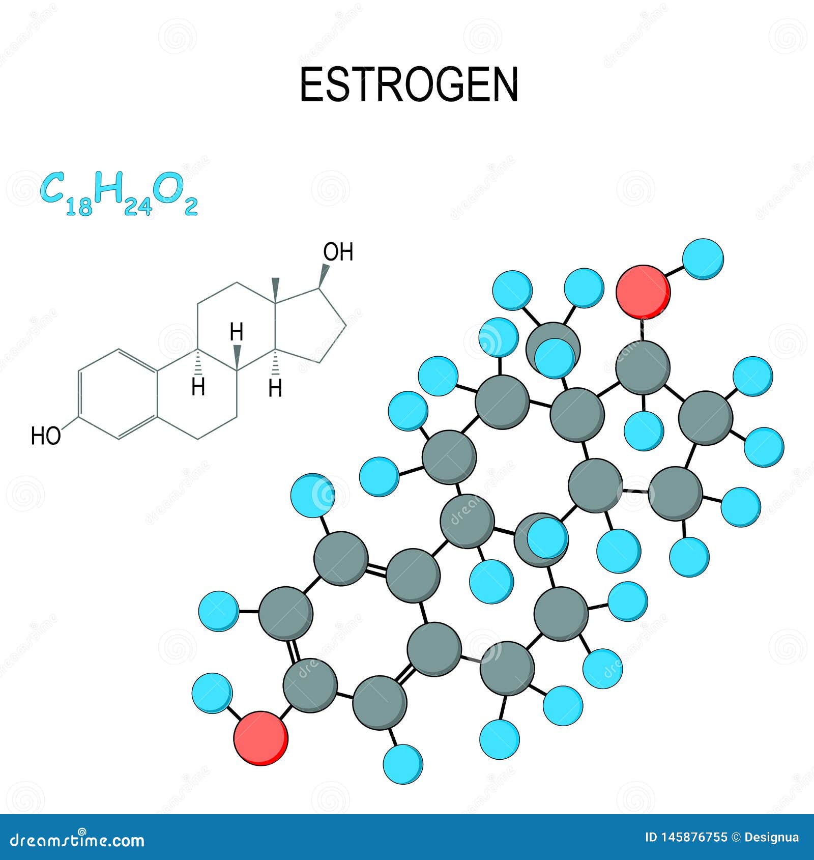 Estrogen Chemical Structural Formula And Model Of Molecule C18h24o2