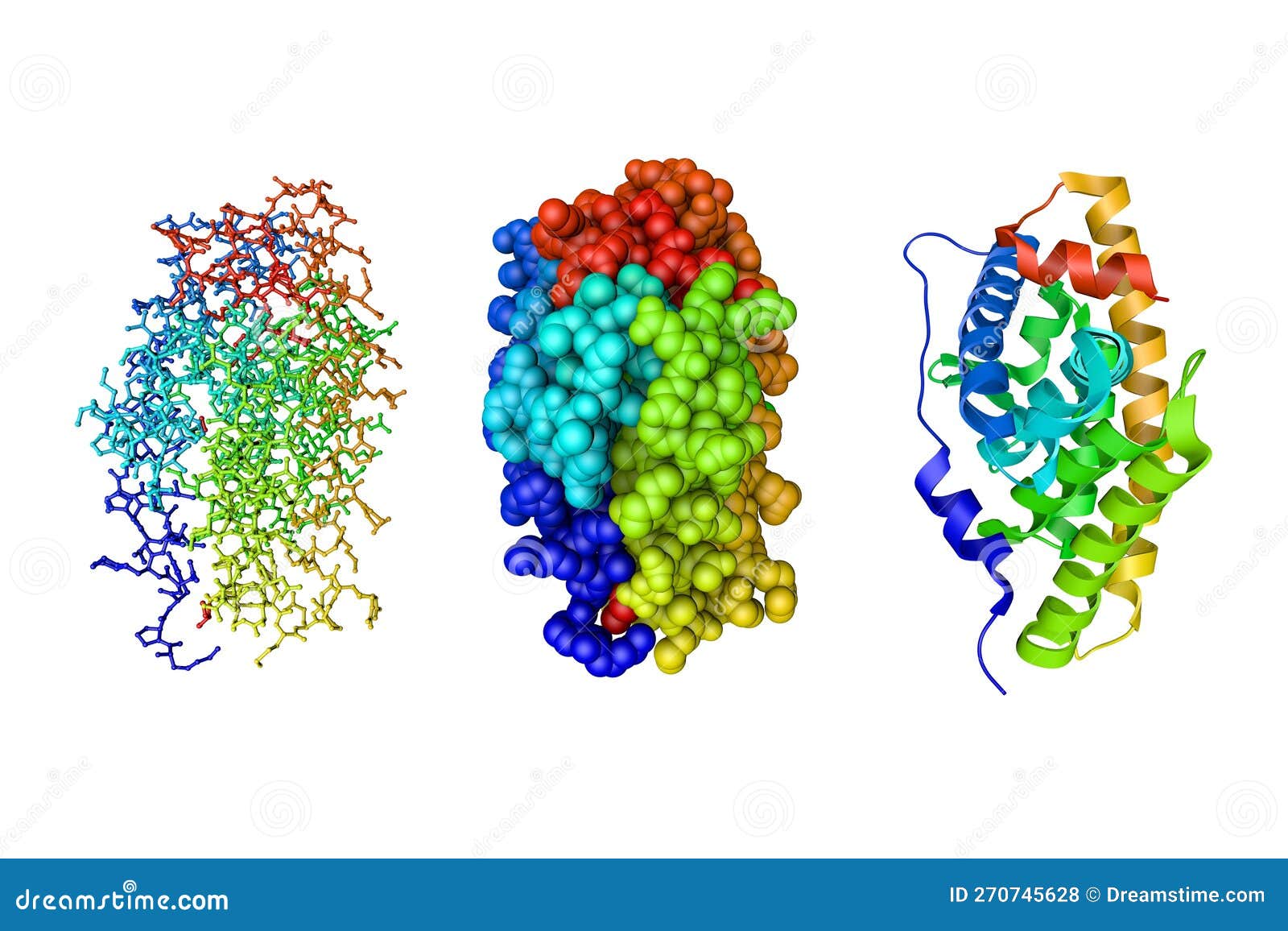 Human Estrogen-related Receptor Gamma Ligand Binding Domain Complex ...