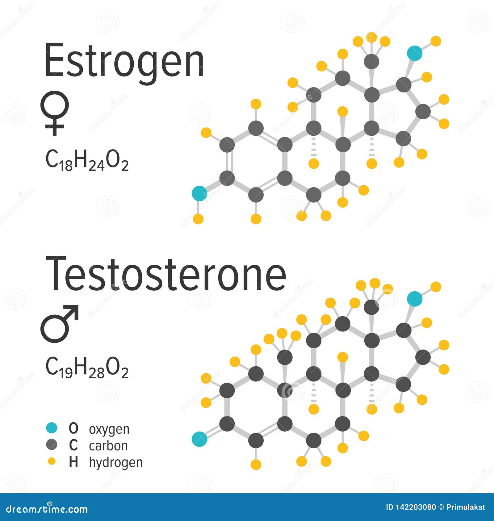 Estrogen And Testosteron Hormones Vector Chemical Formulas Stock Vector