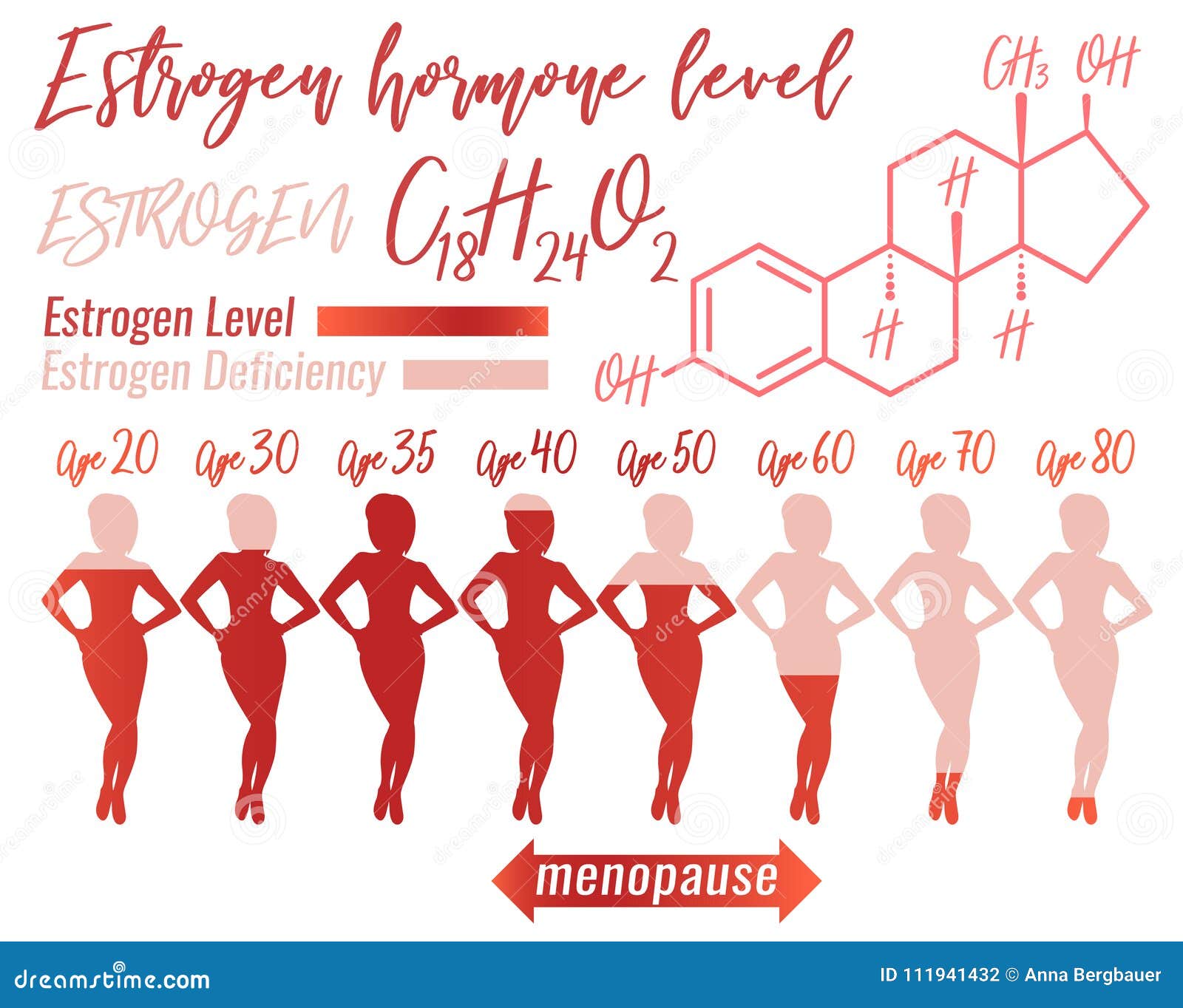 Estrogen Woman Infographic Stock Vector Illustration Of Deficiency