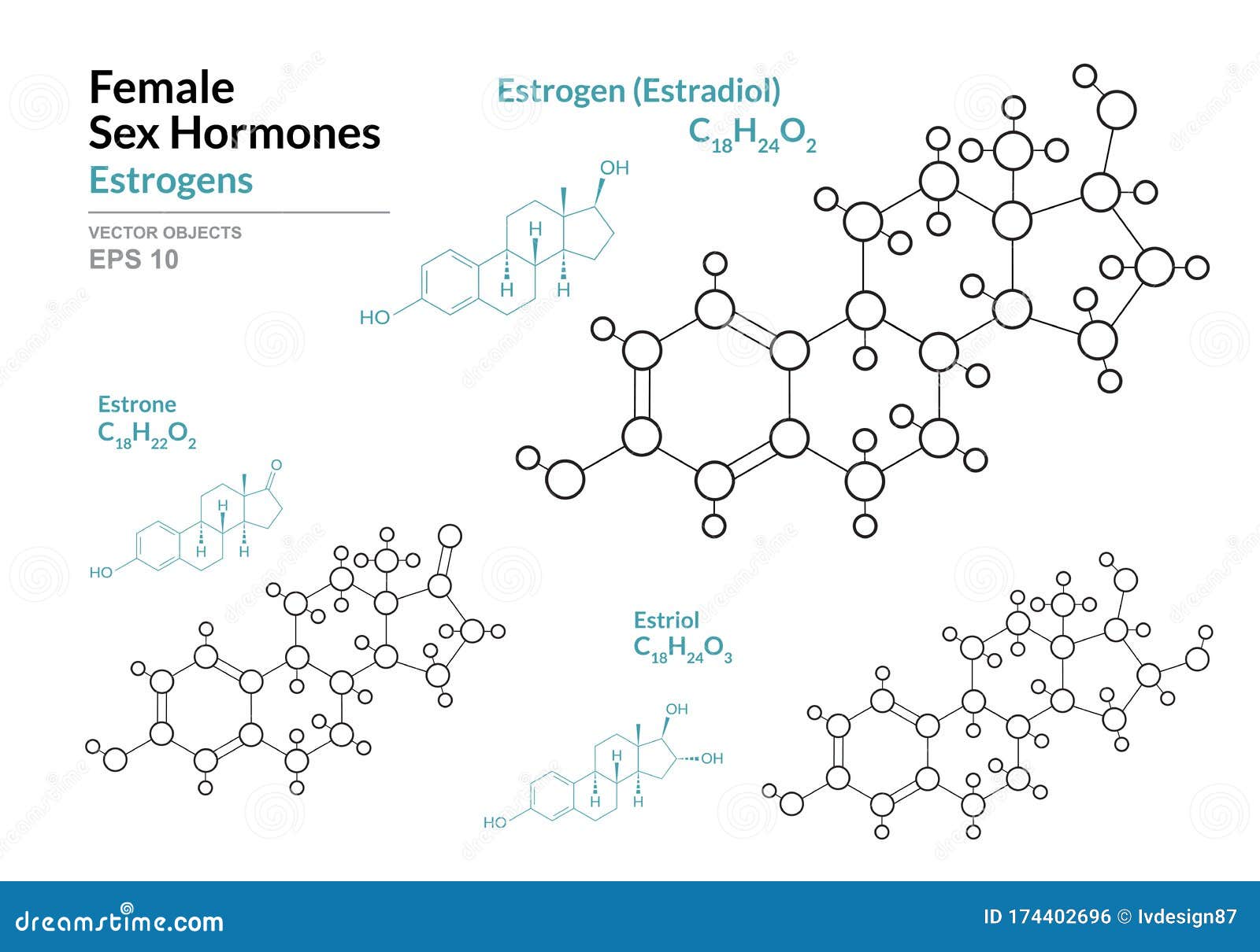 Estrogens Estradiol Estrone Estriol Female Sex Hormones Structural