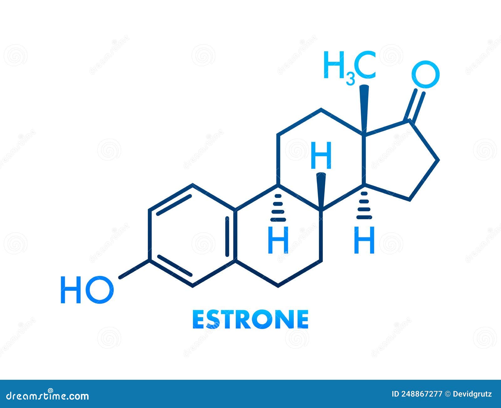 Estrone Formula. Estrogens Vector Chemical Formulas. Vector ...