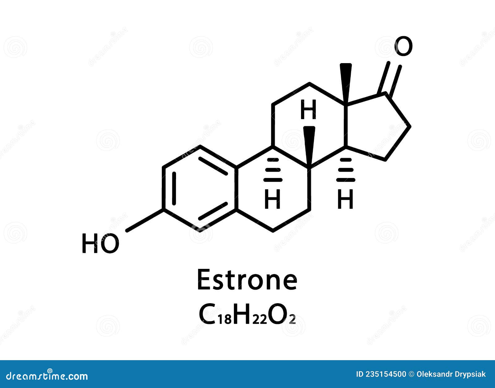 Estrone Molecular Structure. Estrone Skeletal Chemical Formula ...