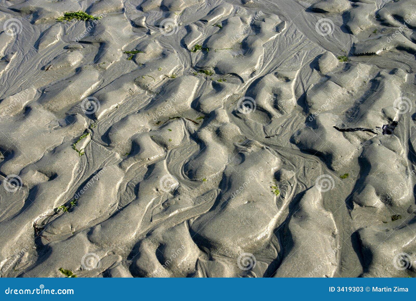 Estructura De La Arena Imagen. Imagen: 3419303