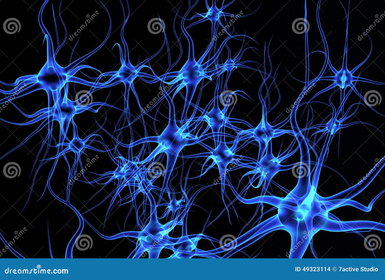 Estructura de la neurona foto de archivo. Imagen de estructura - 49323114