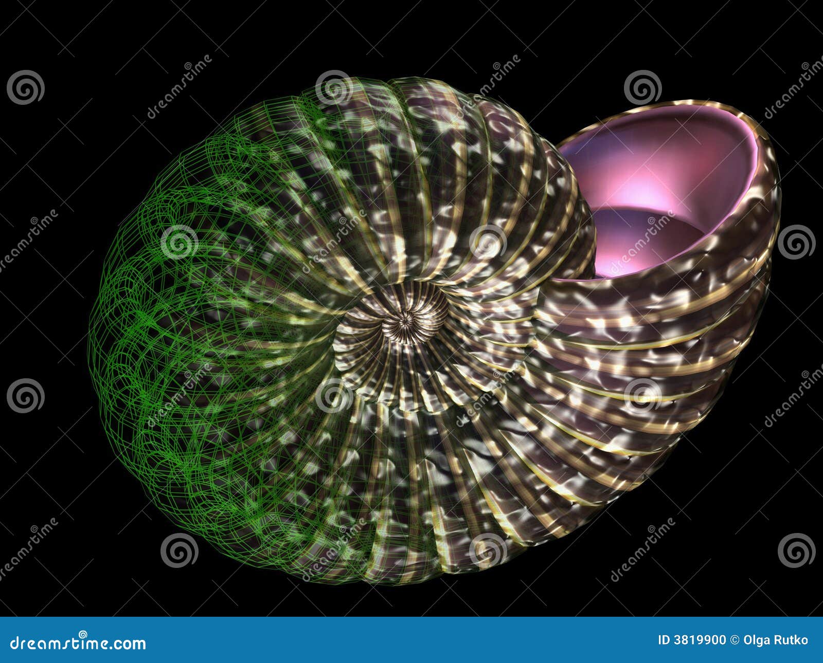 Estructura De Shell Imagen. Imagen: 3819900