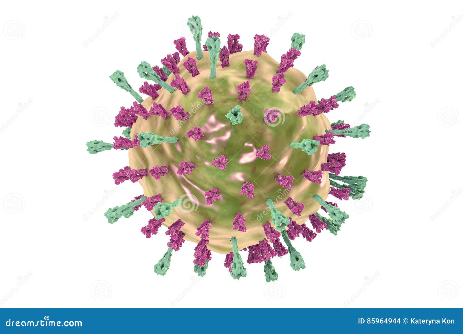 Estructura Del Virus De Paperas Stock de ilustración - Ilustración de ...