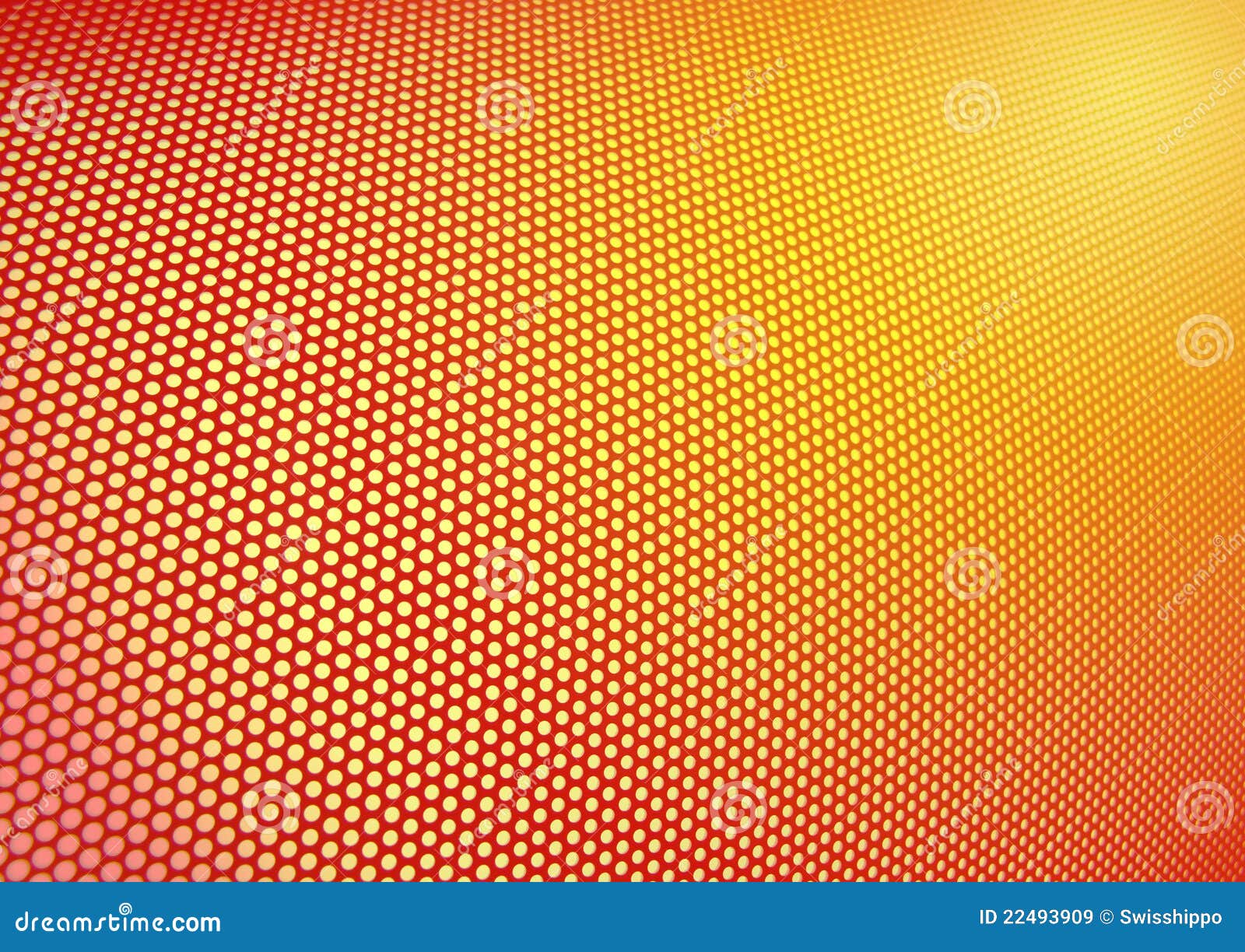 Reticular Formation Function