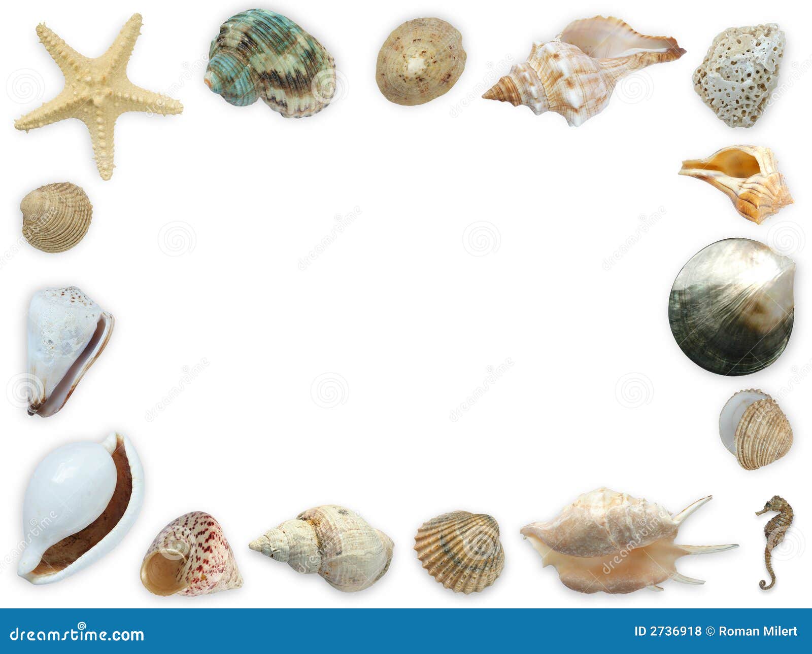 Estrutura do Seashell foto de stock. Imagem de beira, nave - 2736918