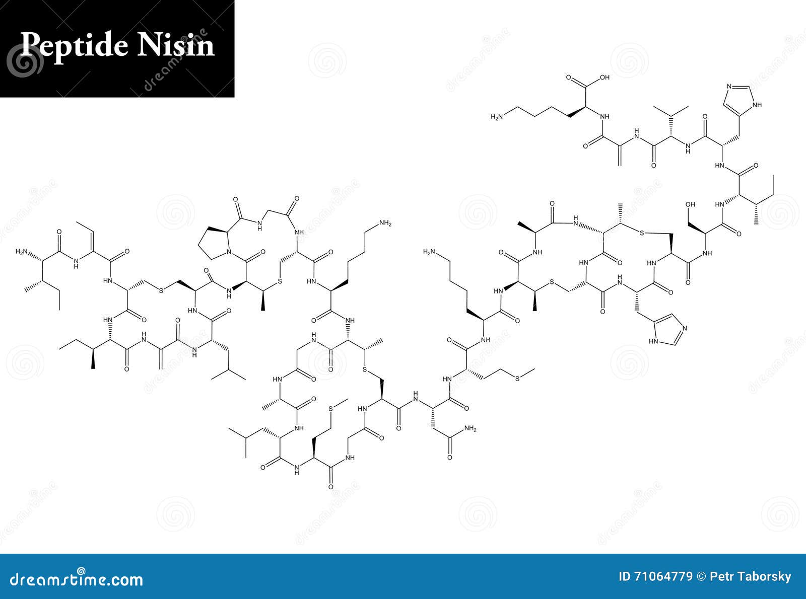 Estrutura Molecular Da Nisina Do Peptide Ilustração Stock - Ilustração ...
