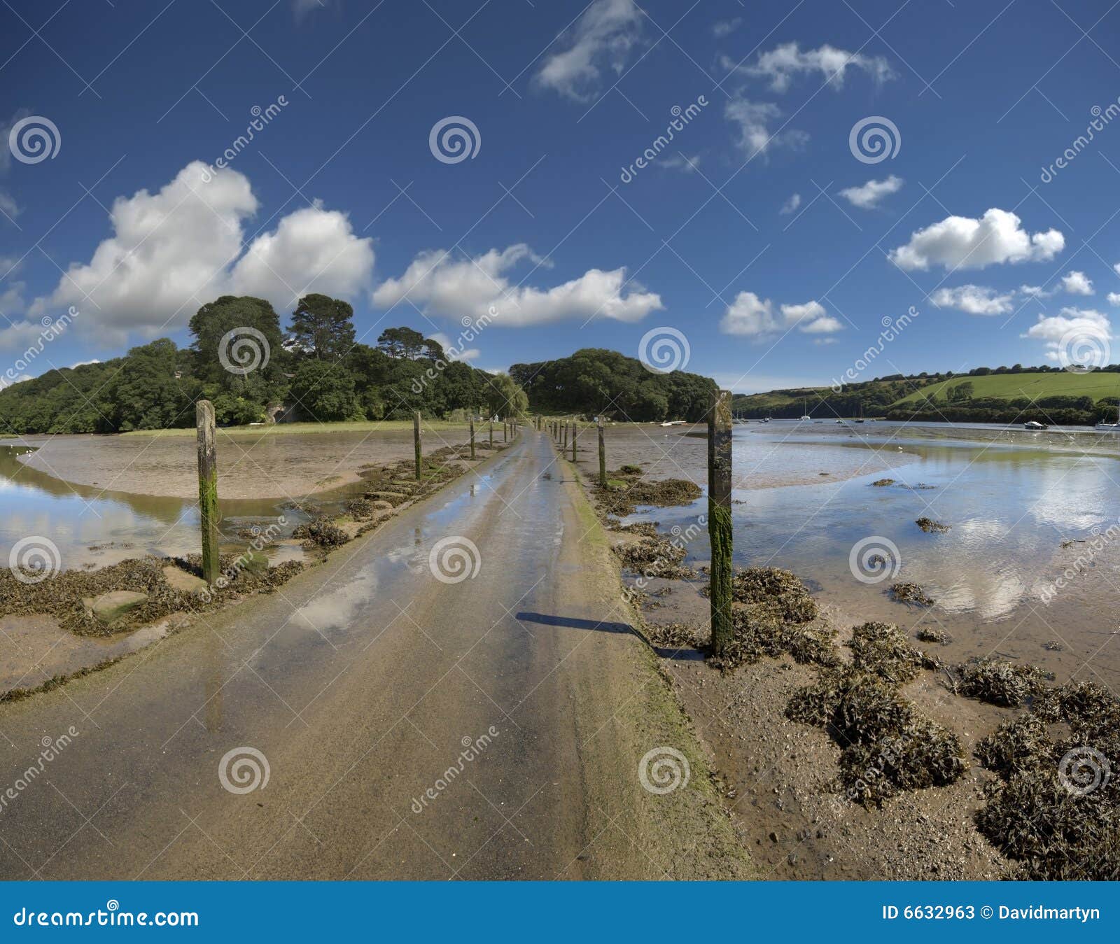 Estuarium stock afbeelding. Image of hout, devon, landelijk - 6632963