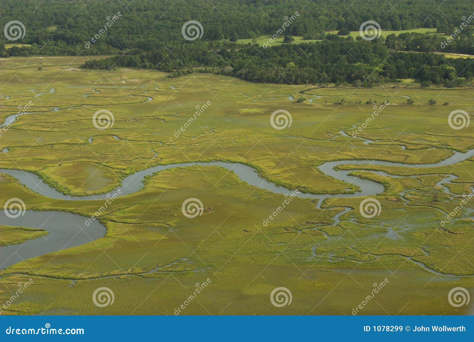 Estuary stock image. Image of swamp, marsh, nature, river - 1078299