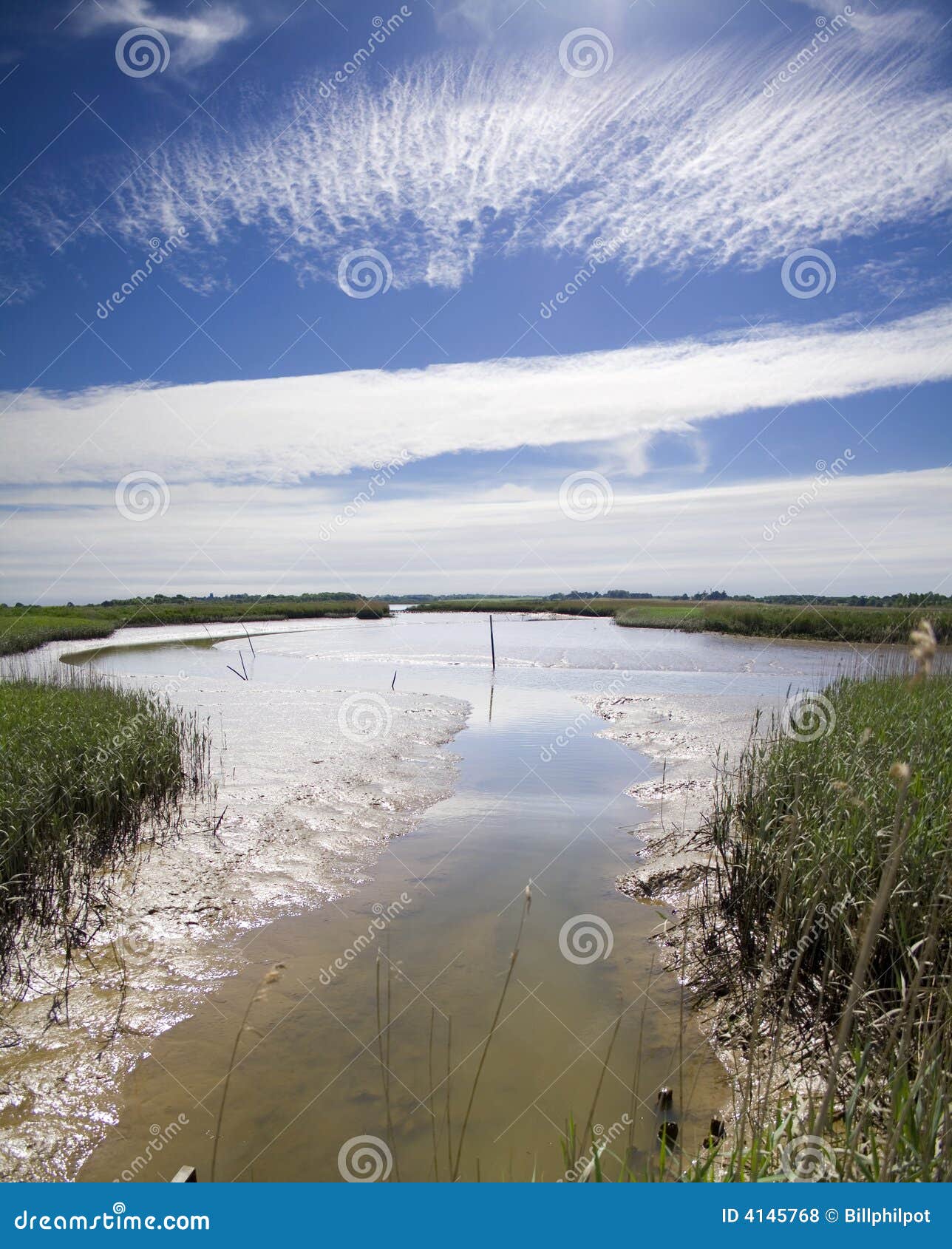 Estuary stock photo. Image of feature, east, beds, estuary - 4145768