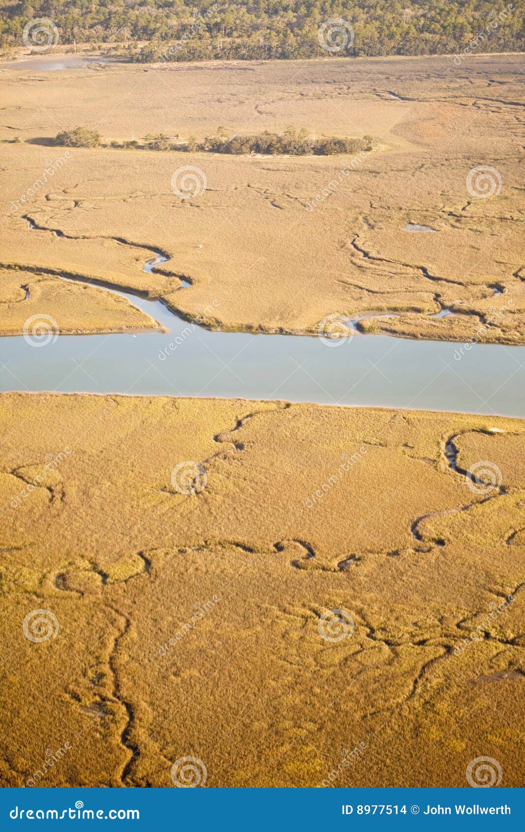 Estuary stock photo. Image of natural, waterfront, morning - 8977514