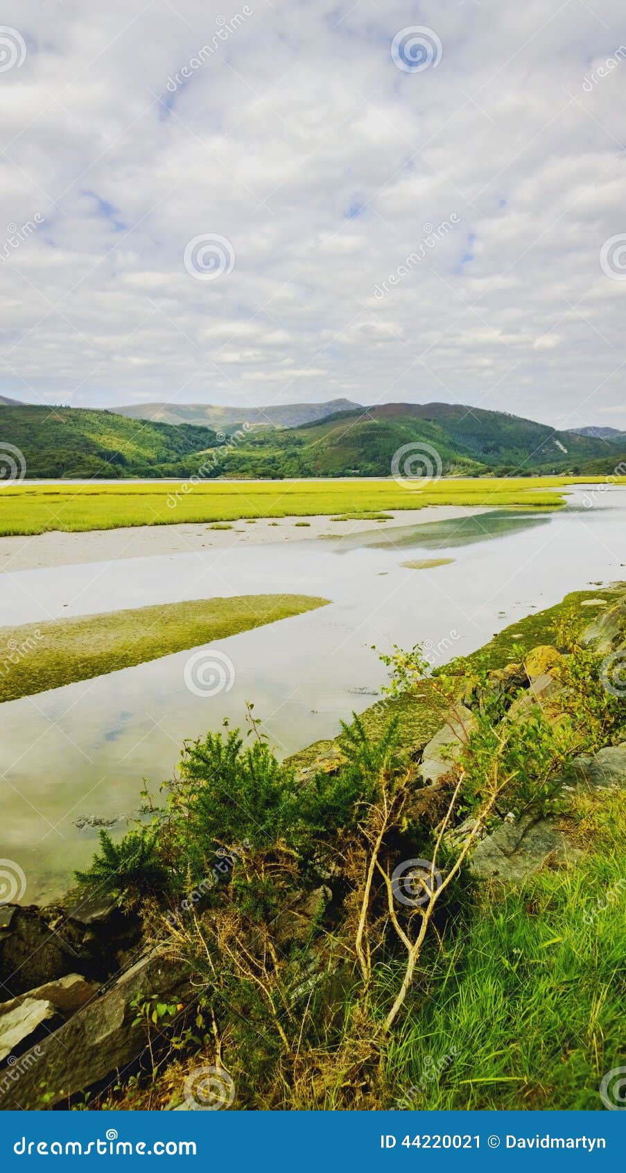 Estuary stock image. Image of cycle, wales, national - 44220021