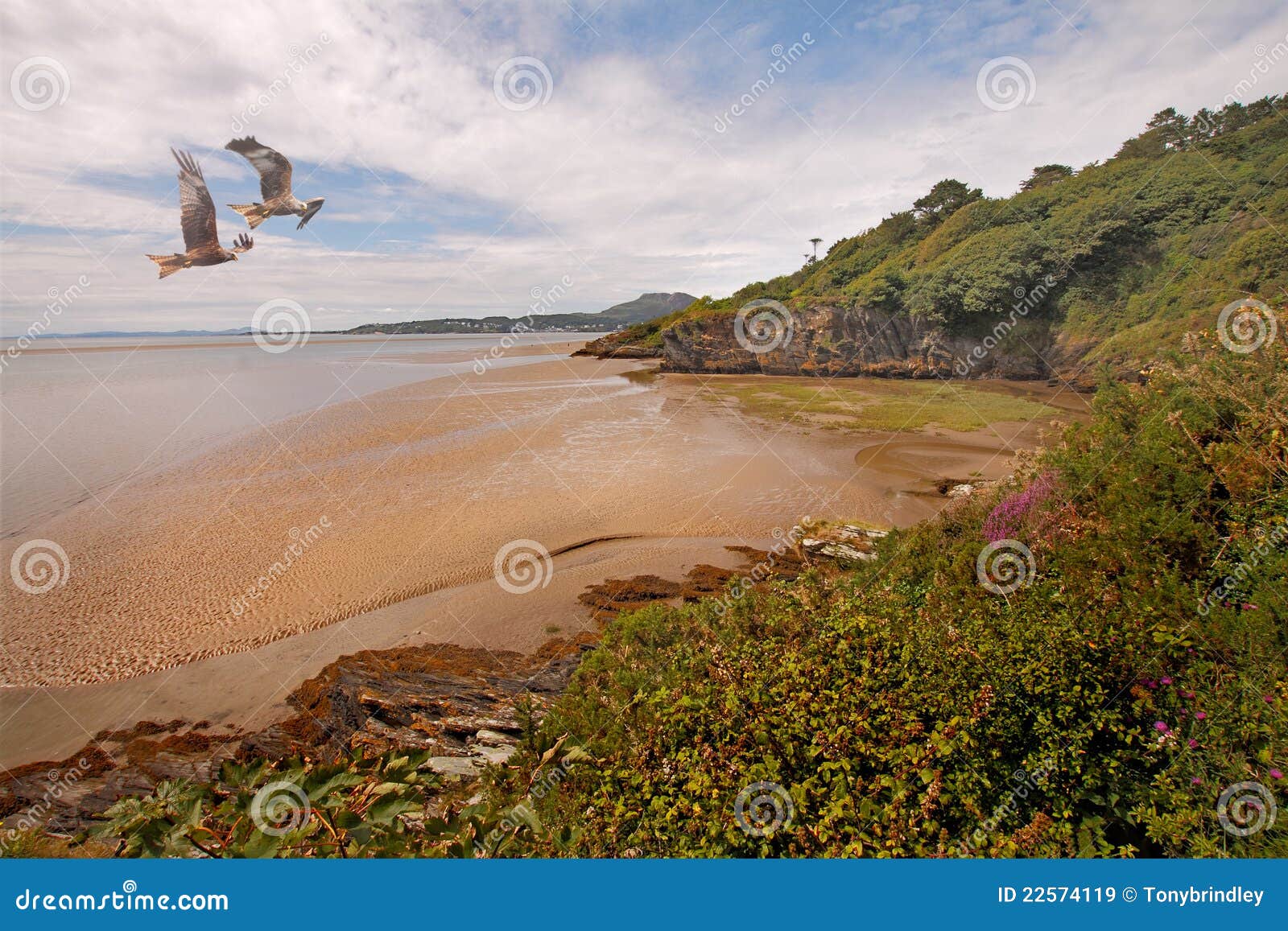 Estuary at Portmeirion stock image. Image of portmeirion - 22574119