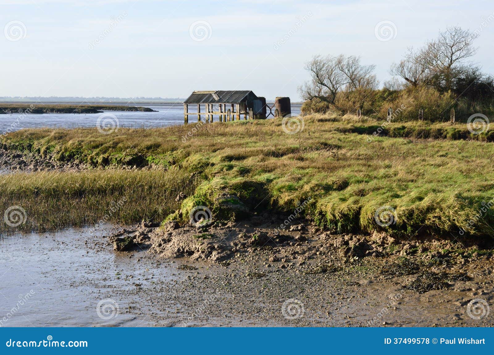 Estuary with Ruined Building Stock Photo - Image of creek, tidal: 37499578