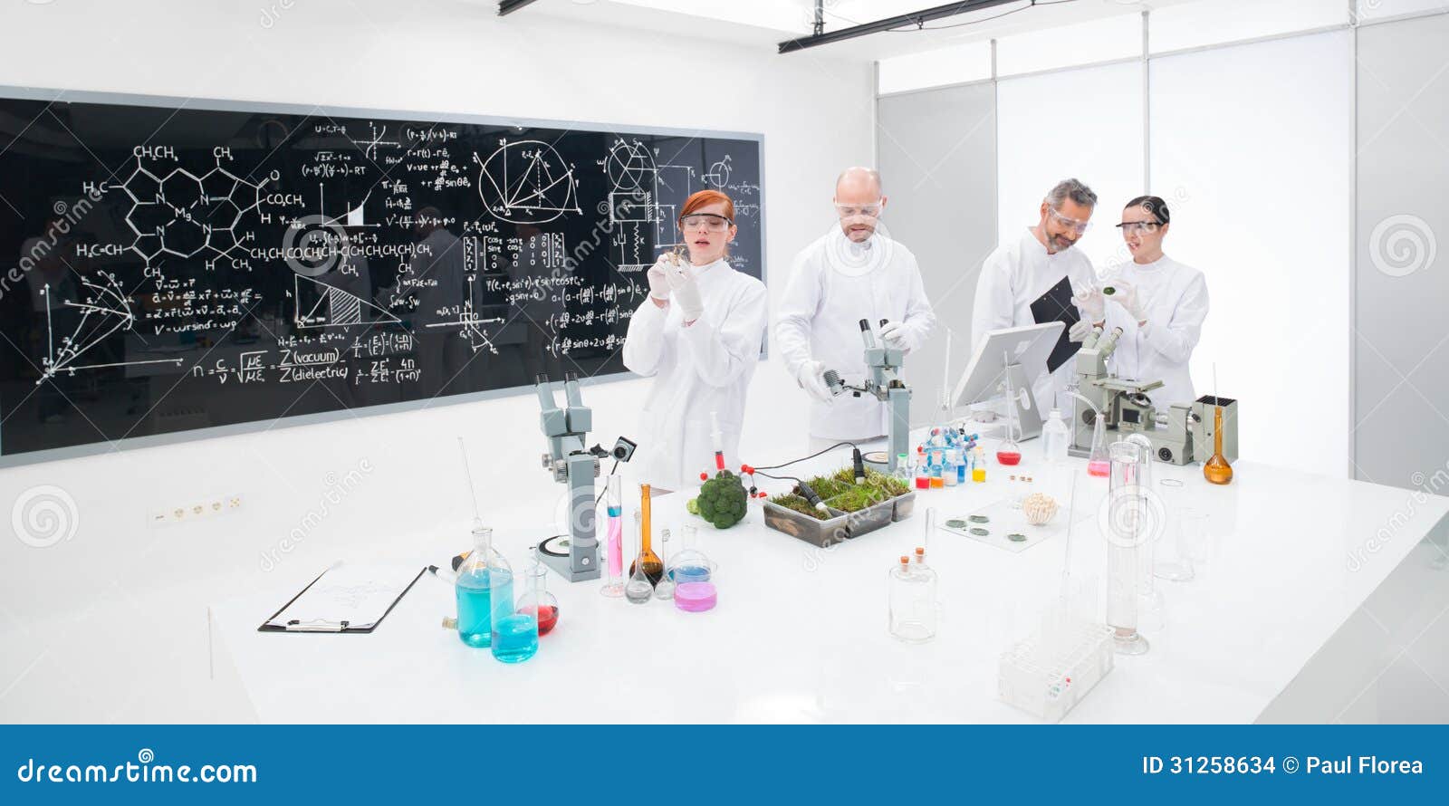 Estudios Experimentales Del Laboratorio De Química Foto de archivo ...